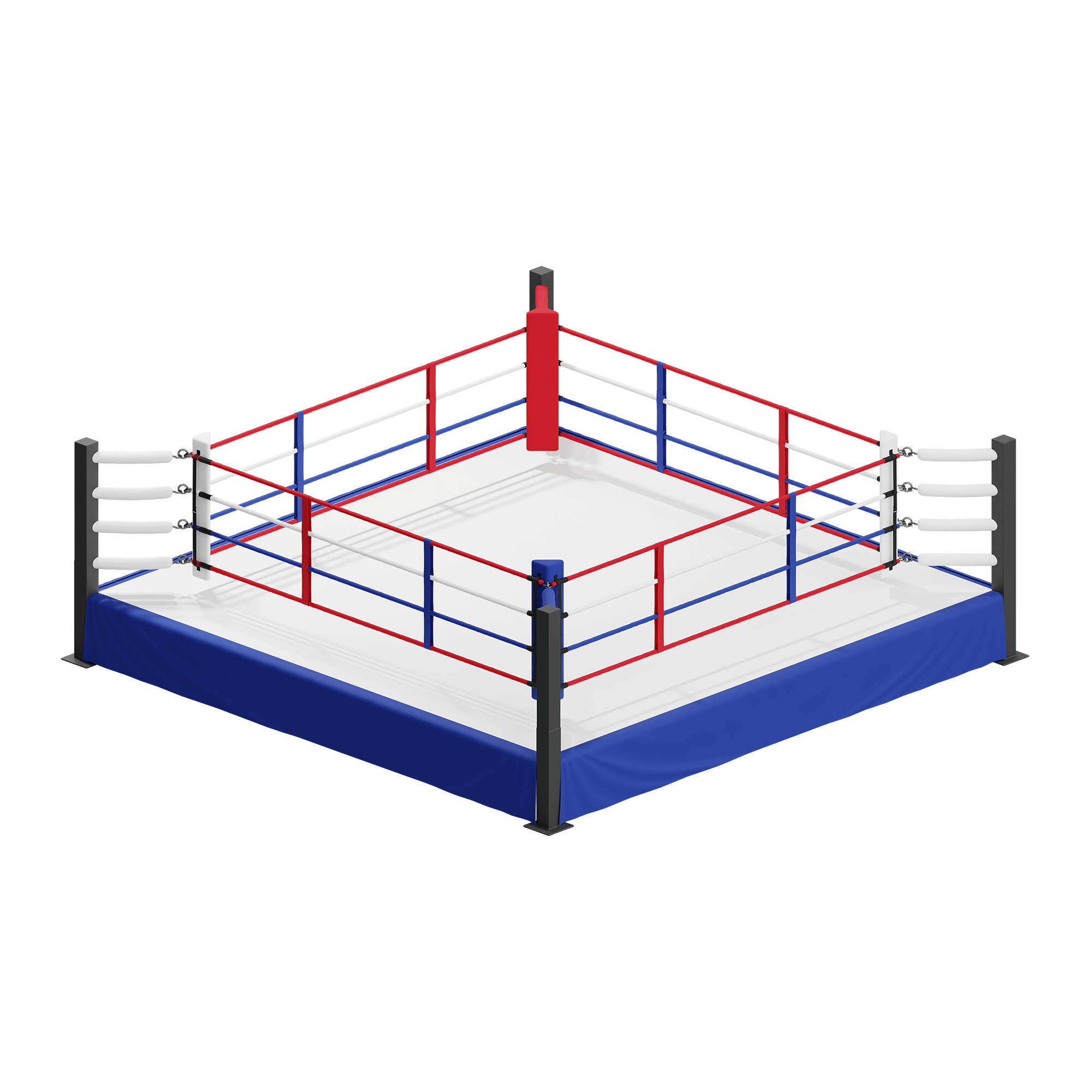 Prolast Custom Boxing Ring - 2ft – Fight Shop